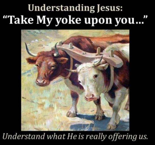 The “Yoke’s” on you! | Chuck Larsen
